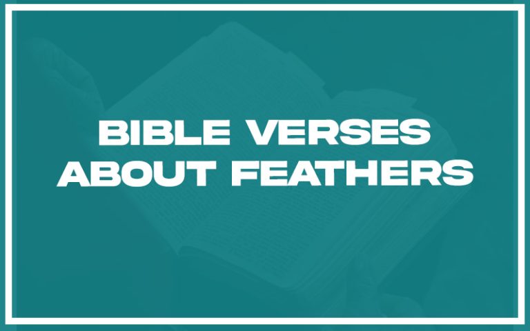 31 Bible Verses about Feathers (with Related Verses) - Christianity Path