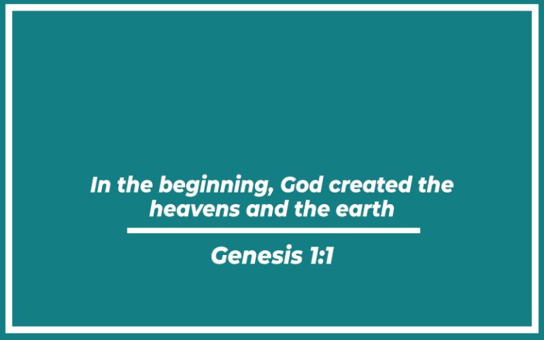 31 Bible Verses About Evolution (with Related Verses) - Christianity Path