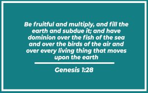 31 Bible Verses About Stewardship Of the Earth (with Related Verses ...