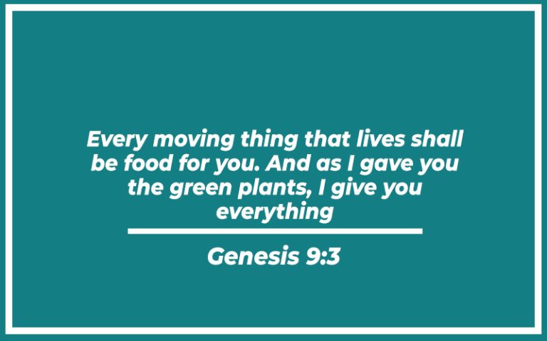 31 Bible Verses for Hunters (With Related Verses) - Christianity Path