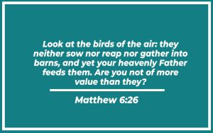 31 Bible Verses About Flying (with Related Verses) - Christianity Path