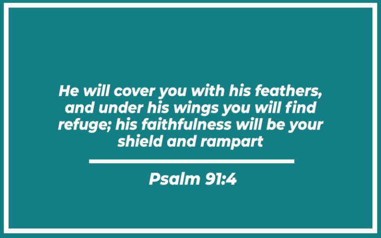 31 Bible Verses about Feathers (with Related Verses) - Christianity Path