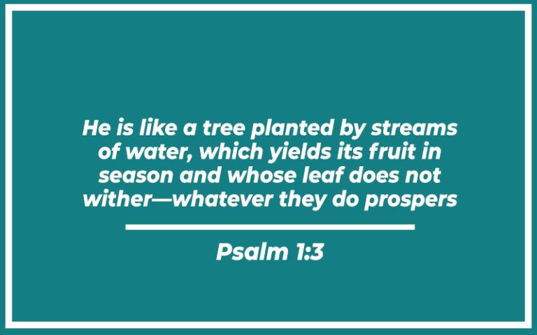 31 Bible Verses About Blooming Where You Are Planted (with Related ...