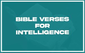 31 Bible Verses For Intelligence (with Related Verses) - Christianity Path