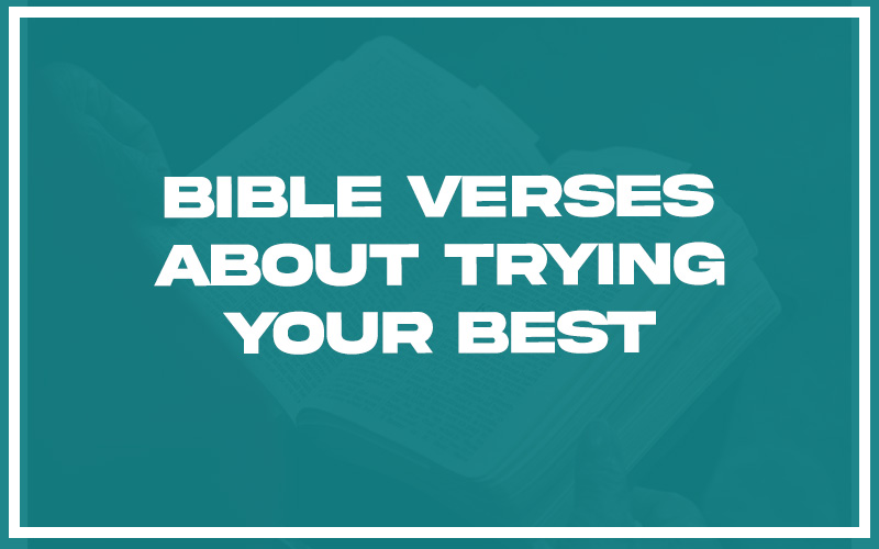 Bible Verses - Christianity Path