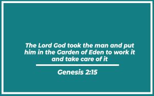 31 Bible Verses About Farming (with Related Verses) - Christianity Path