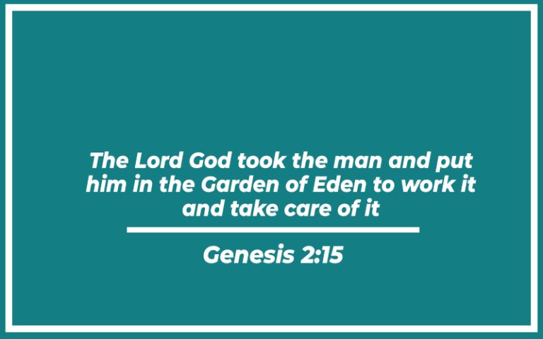 31 Bible Verses About Farming (with Related Verses) - Christianity Path