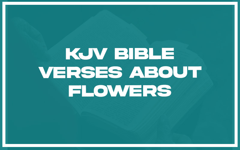 Bible Verses - Christianity Path