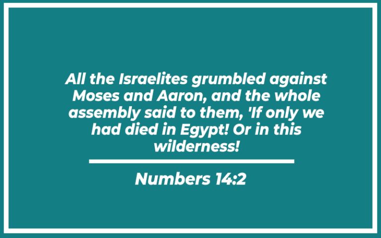 31 Bible Verses About Disrespect (with Related Verses) - Christianity Path