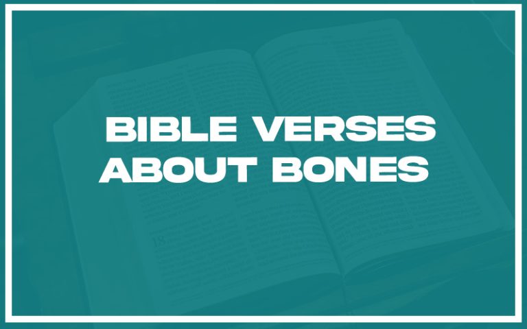 31 Bible Verses About Bones (with Related Verses) - Christianity Path