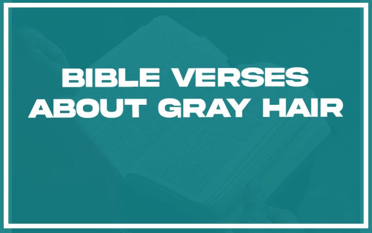 31 Bible Verses About Gray Hair (with Related Verses) - Christianity Path