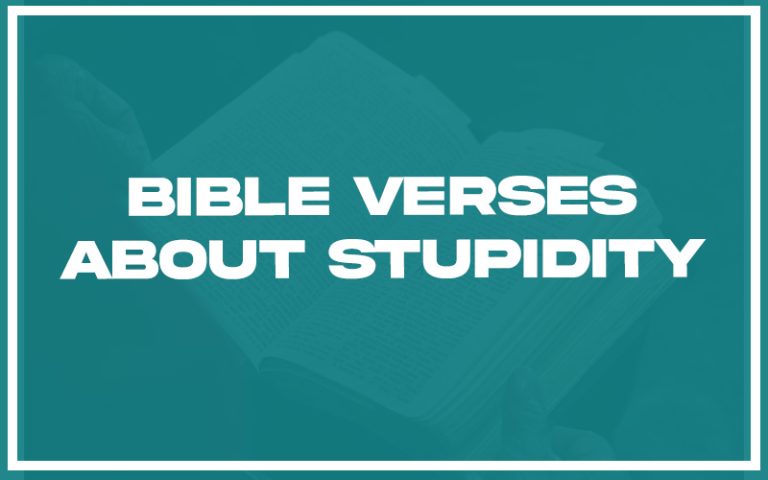 31 Bible Verses About Stupidity (with Related Verses) - Christianity Path