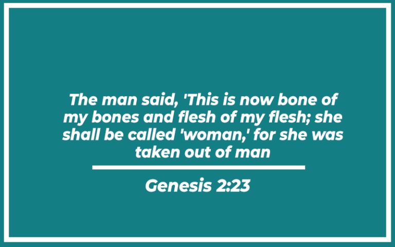 31 Bible Verses About Bones (with Related Verses) - Christianity Path