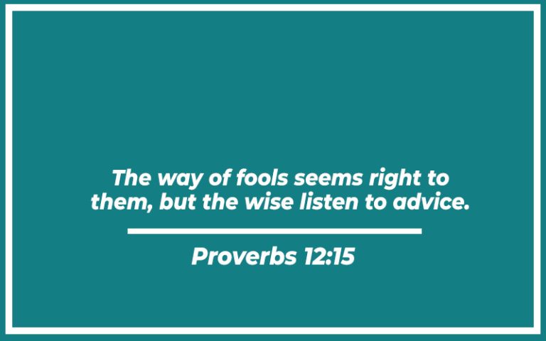 31 Bible Verses About Stupidity (with Related Verses) - Christianity Path