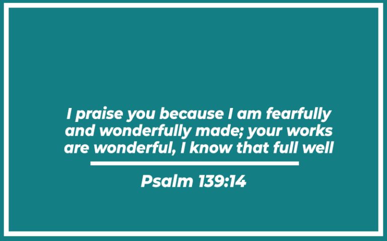 31 Bible Verses About Personality (with Related Verses) - Christianity Path