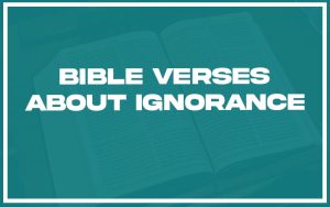 31 Bible Verses About Ignorance (with Related Verses) - Christianity Path