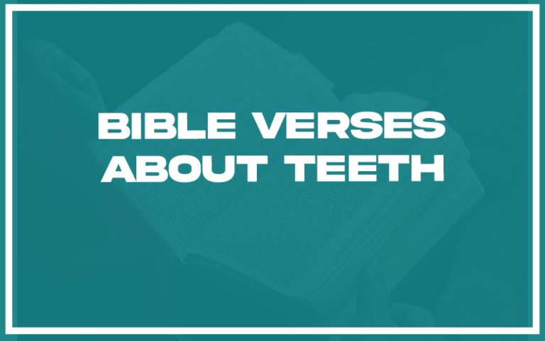 31 Bible Verses About Teeth (with Related Verses) - Christianity Path