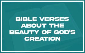 31 Bible Verses About The Beauty Of God'S Creation (with Related Verses ...